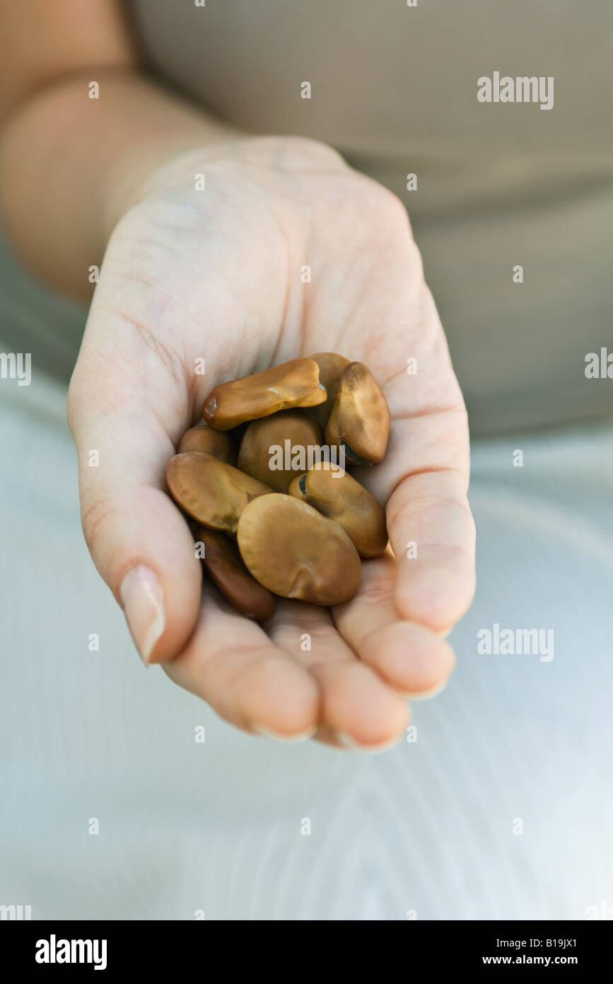 Handful of dry broad beans Stock Photo - Alamy