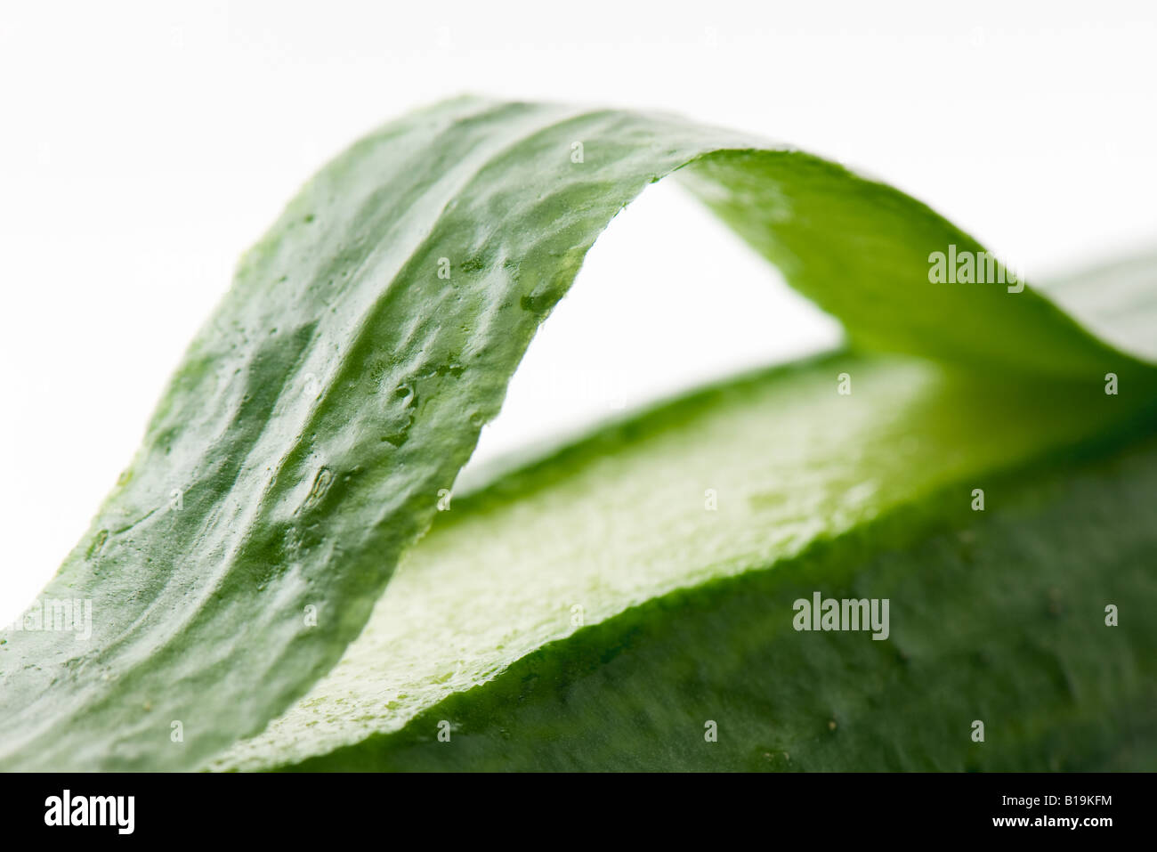 Cucumber peel, close-up Stock Photo - Alamy