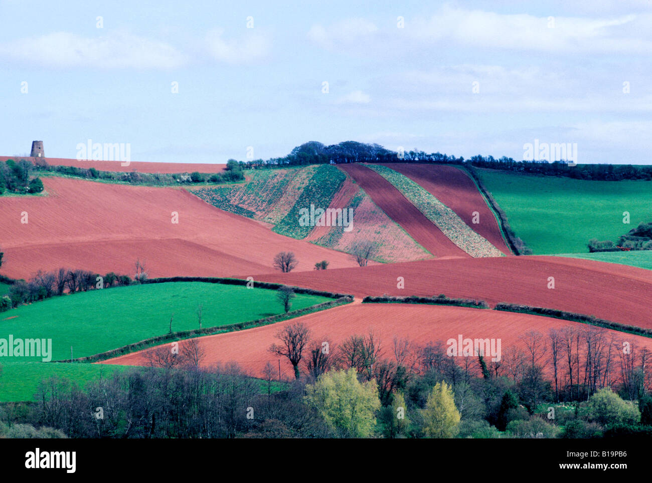Devon Devonian Landscape red soil green fields striped landscape ...