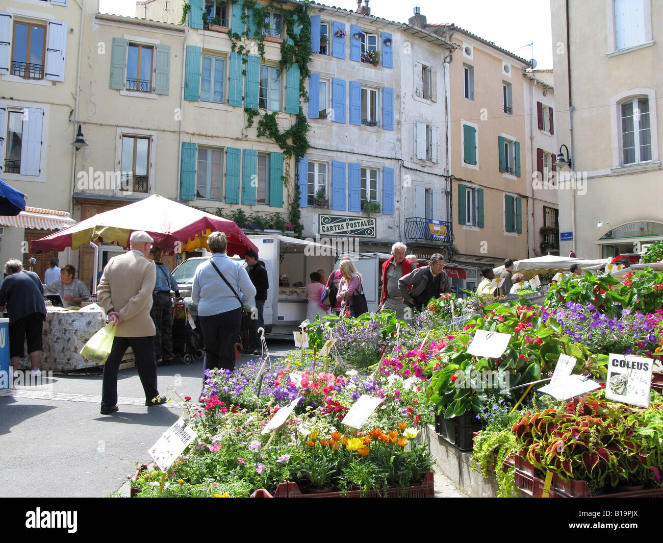 Flower stall Lodeve town Saturday market France Stock Photo - Alamy