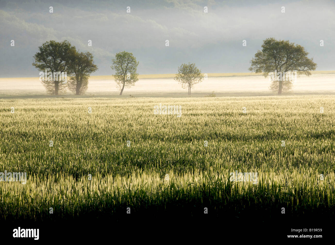 Scenic landscape early spring france hi-res stock photography and ...