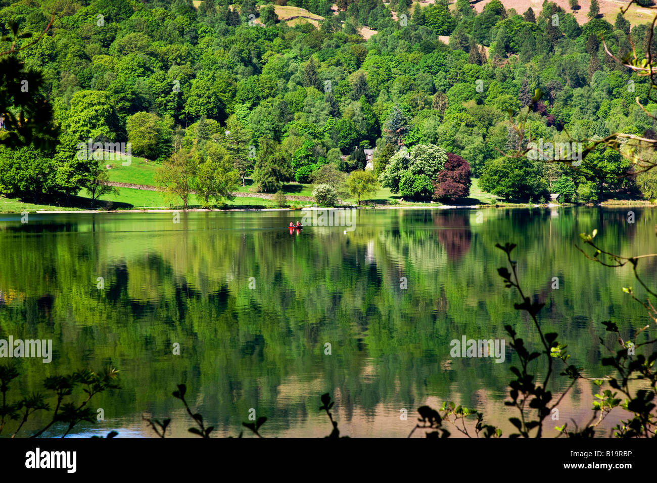 Lake Grasmere Spring Colours On The Forest Around The Lakes Shoreline 2 ...