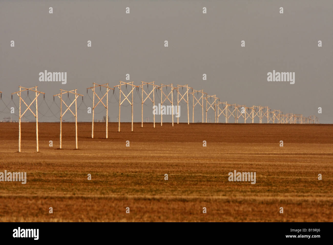 Low sunlight on Hydro power poles Stock Photo - Alamy
