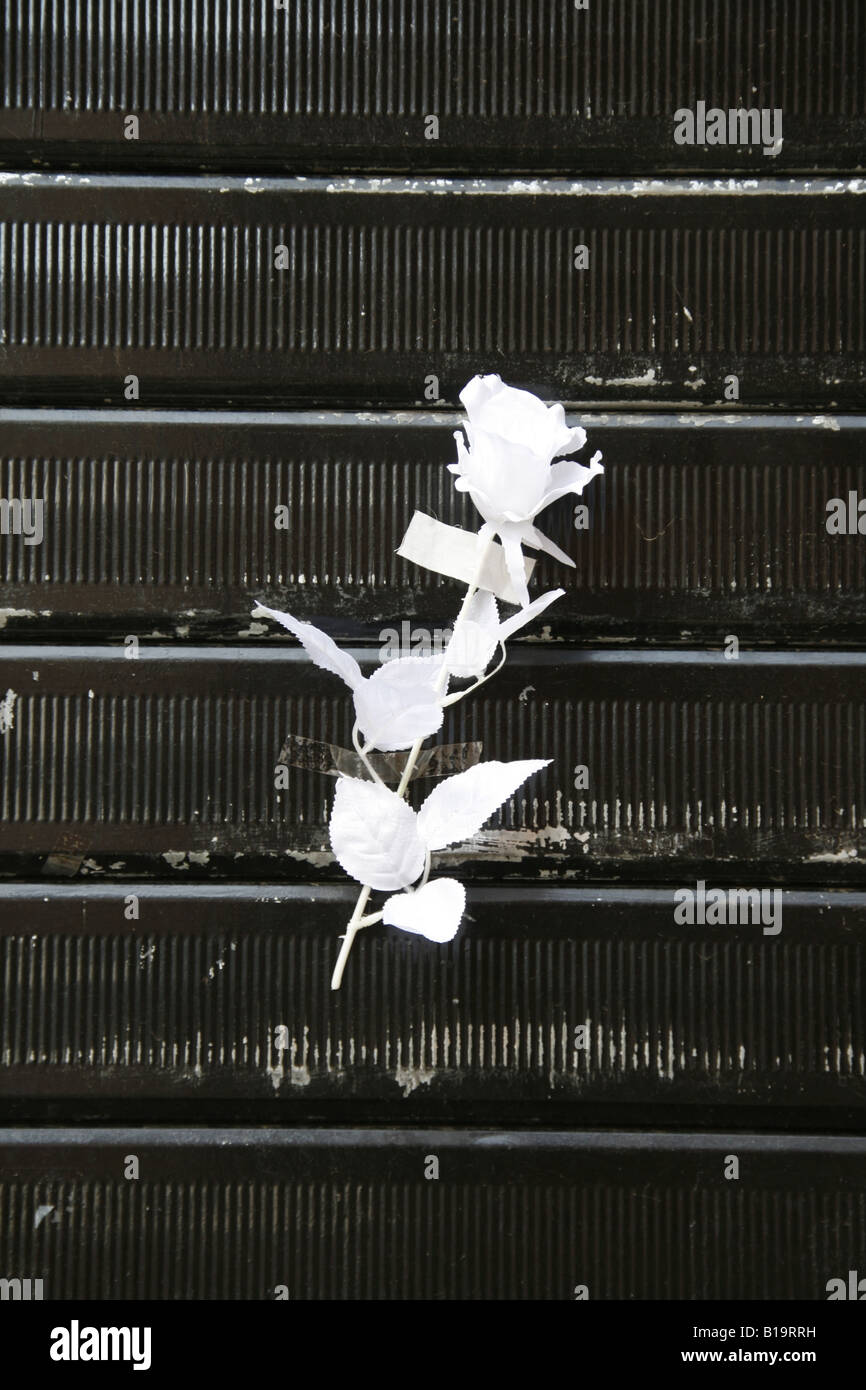 Stuck Shutter High Resolution Stock Photography and Images - Alamy