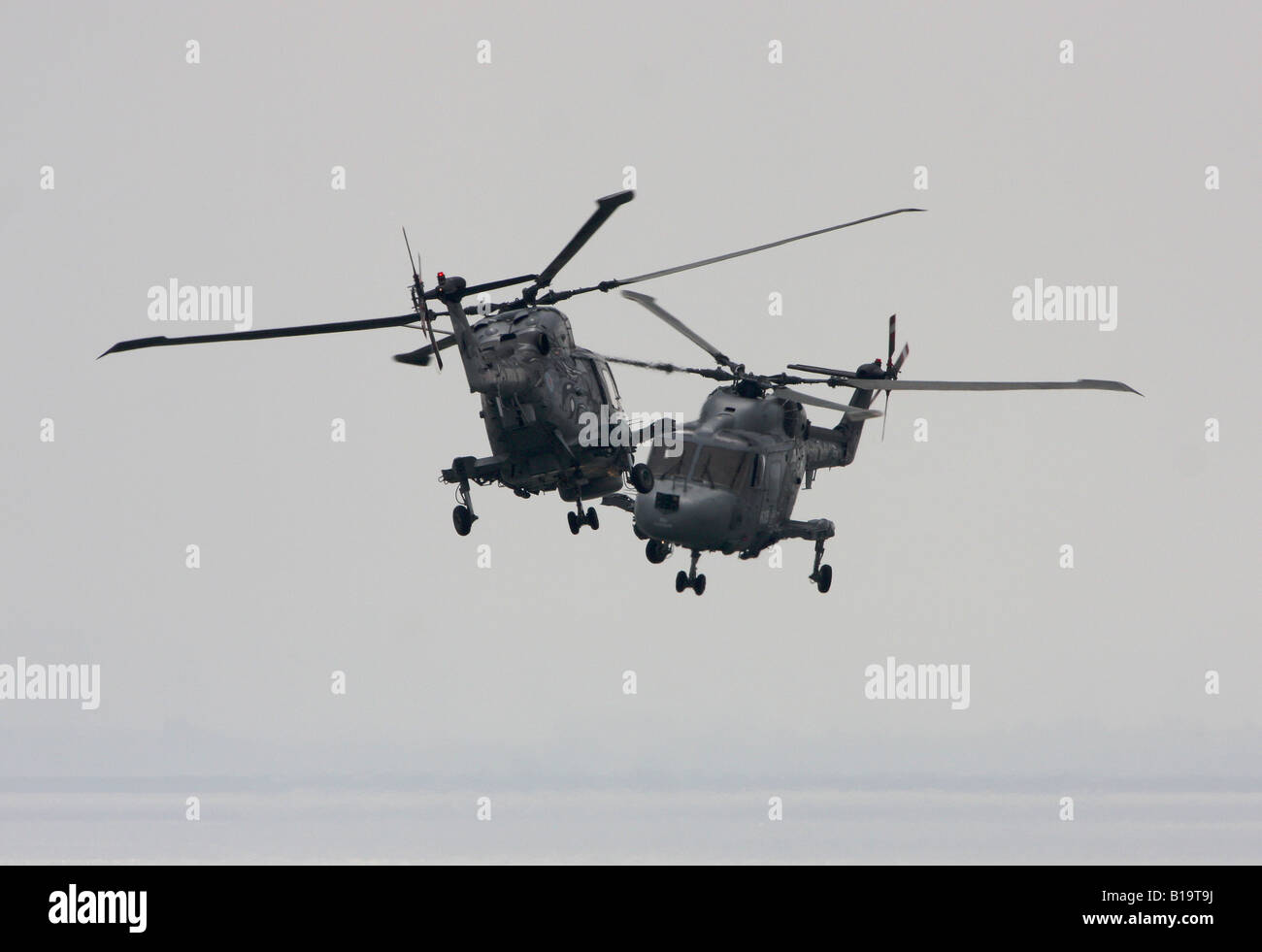 Royal navy black cat helicopter hi-res stock photography and images - Alamy