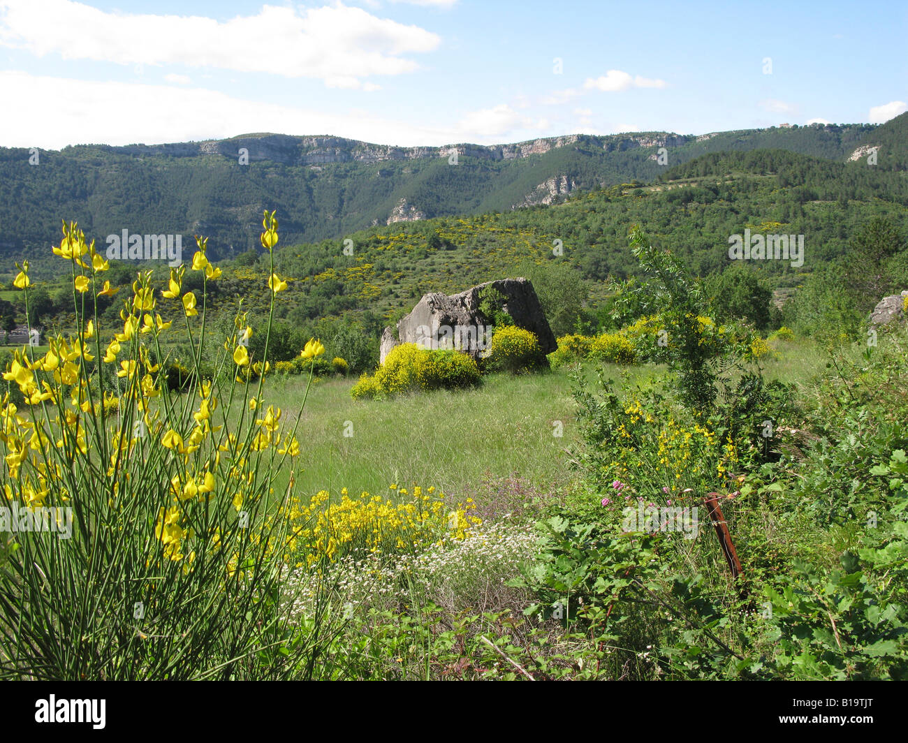 View Herault Languedoc Roussillon France Europe Stock Photo - Alamy