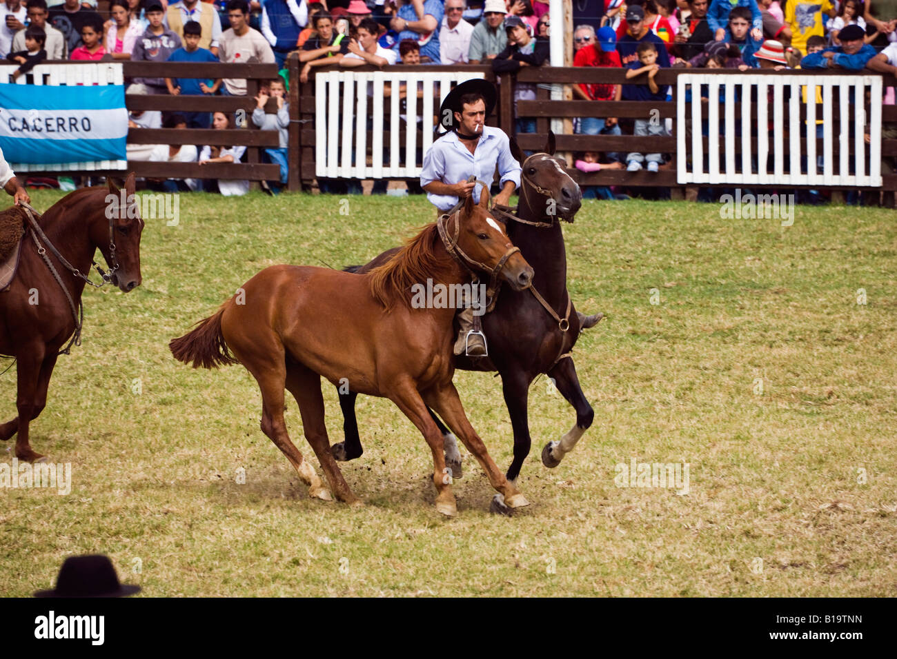 rodeo horse fiesta gaucho cow-boy cowboy danger Stock Photo - Alamy