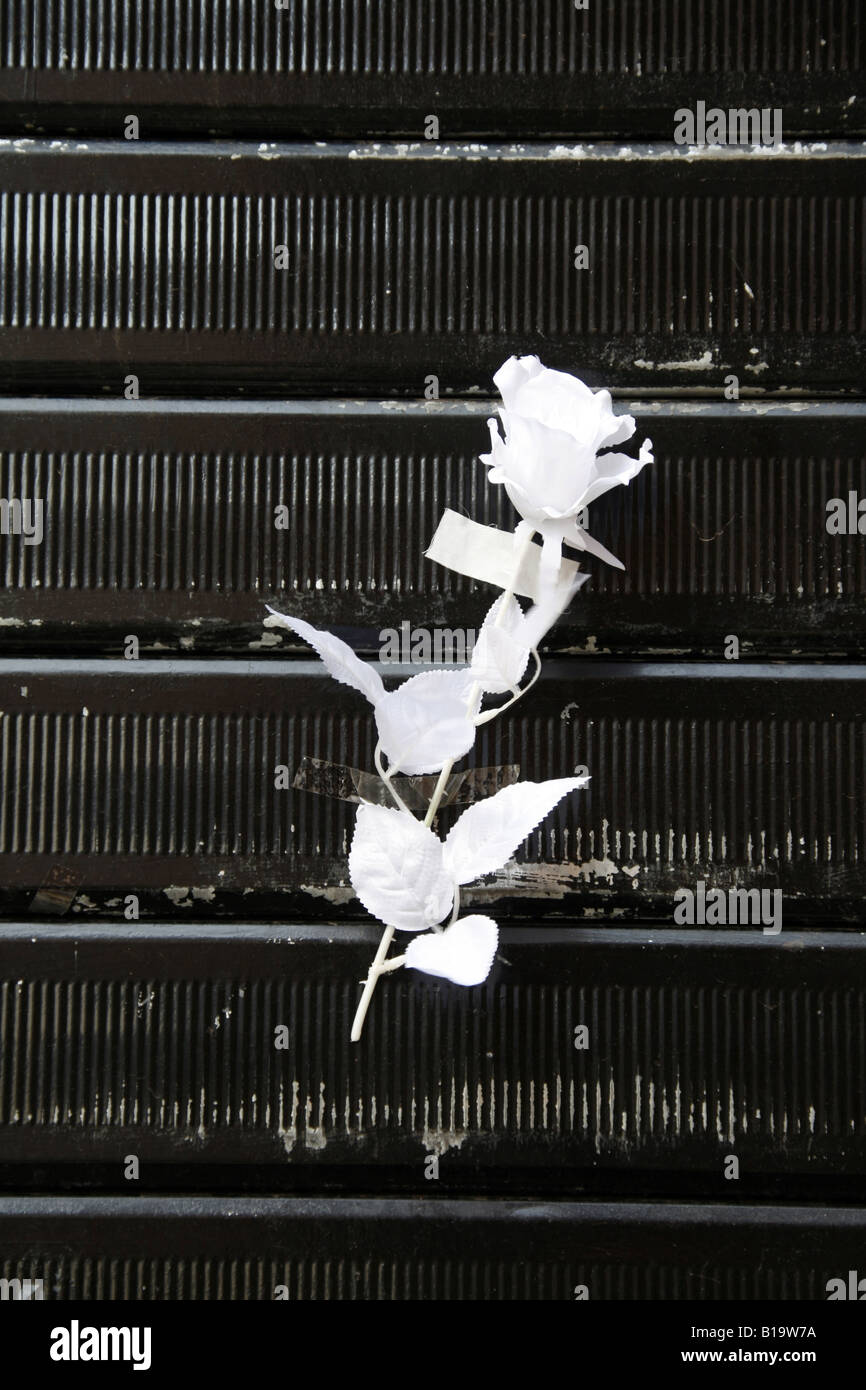 Stuck Shutter High Resolution Stock Photography and Images - Alamy