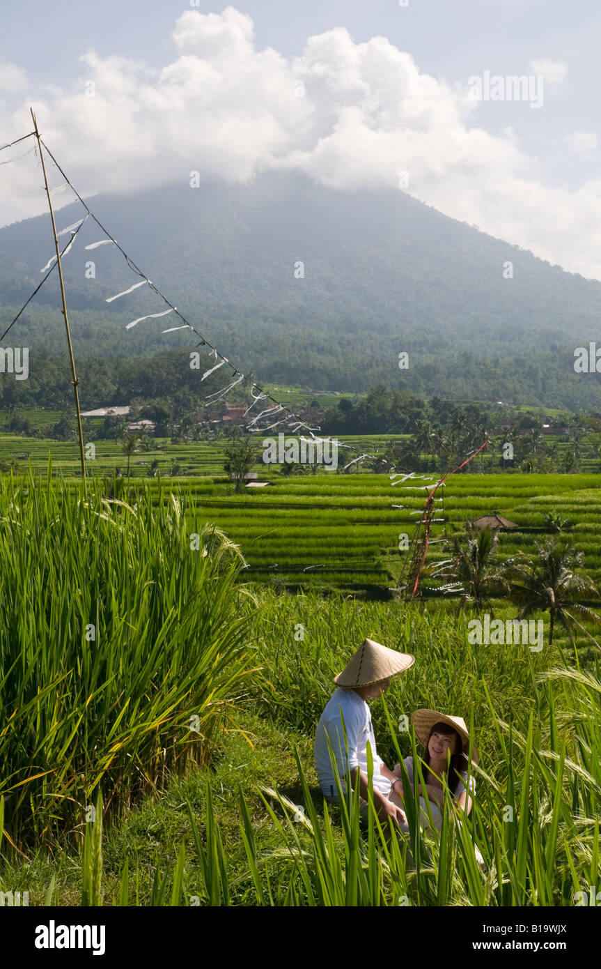 Volcano rice hi-res stock photography and images - Alamy
