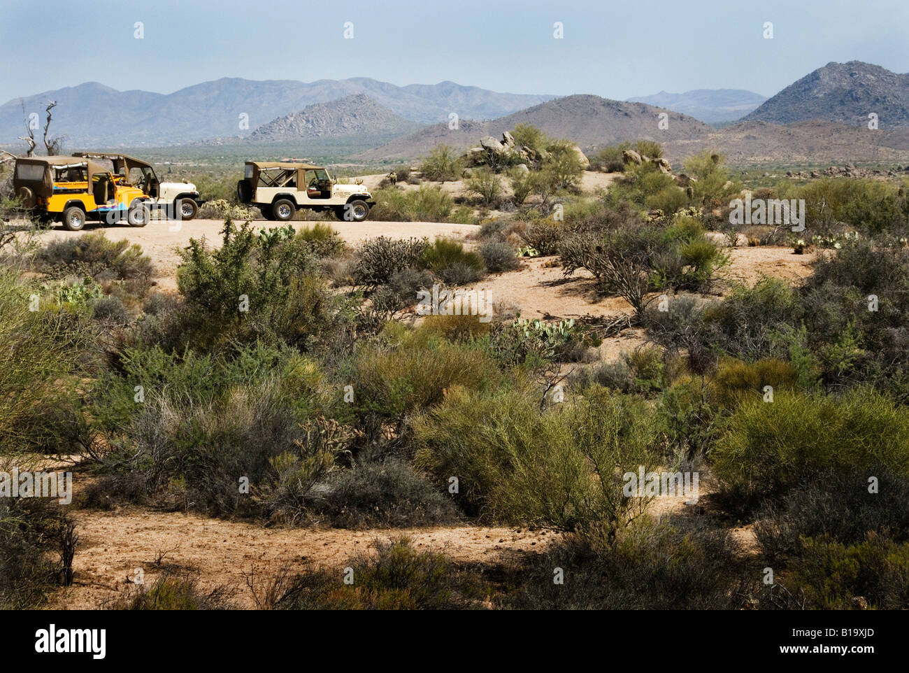 Jeeps in the Sonoran desert, Arizona Stock Photo - Alamy