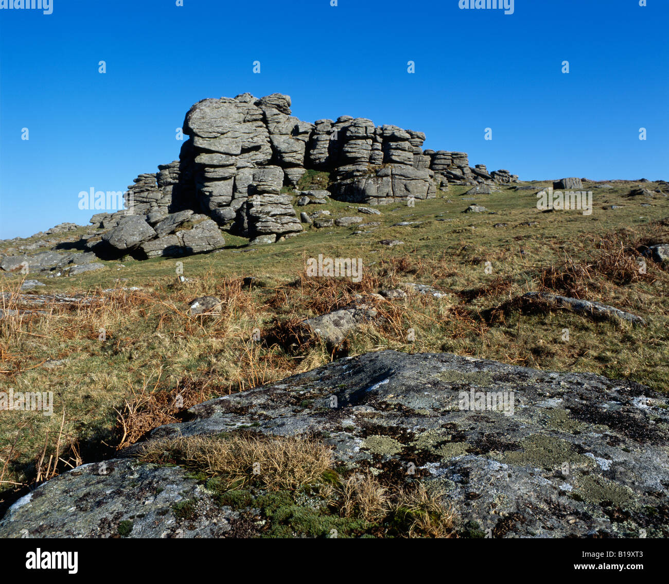 Hound Tor in Dartmoor National Park, Manaton, Devon, England Stock ...
