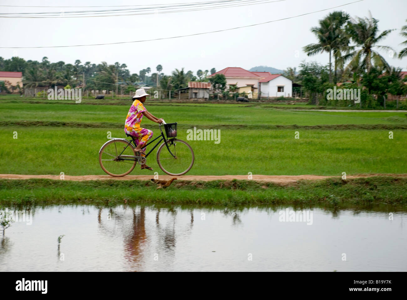 Cambodia Kampot rural scene Stock Photo - Alamy