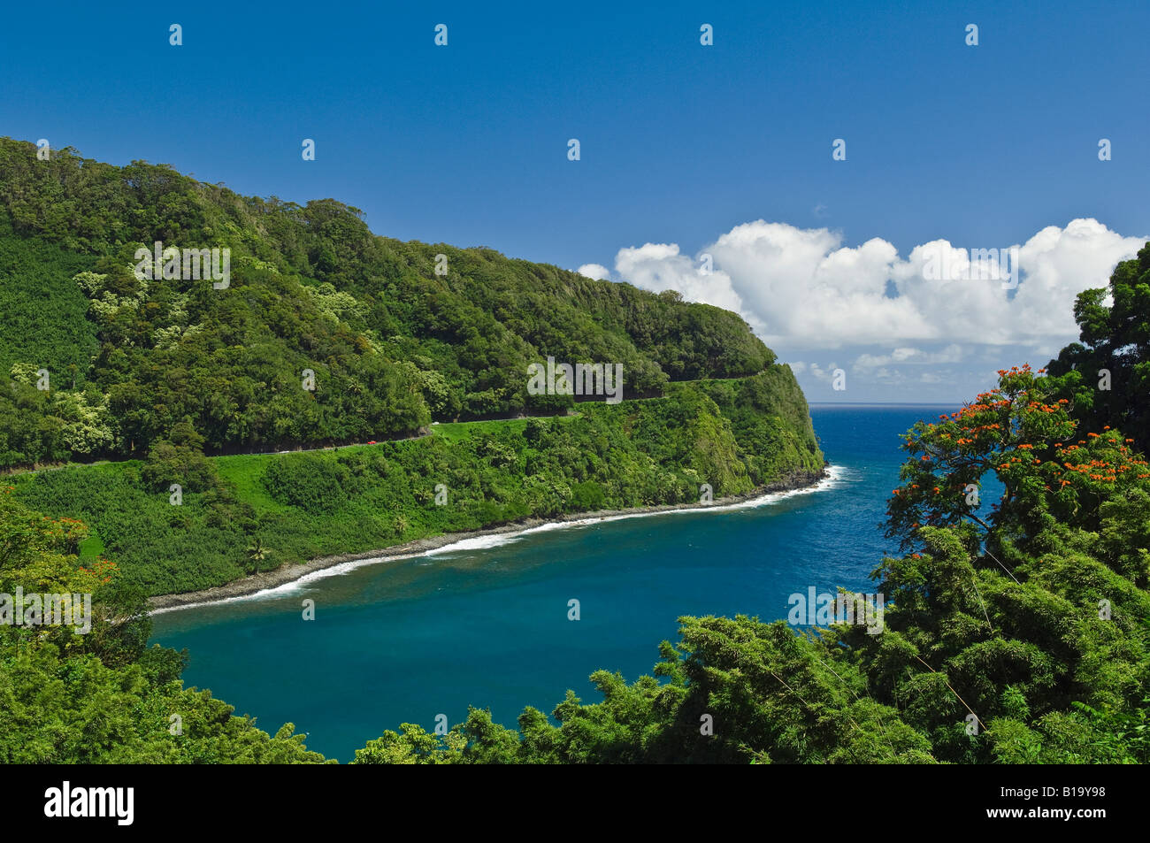 0707968 hi-res stock photography and images - Alamy
