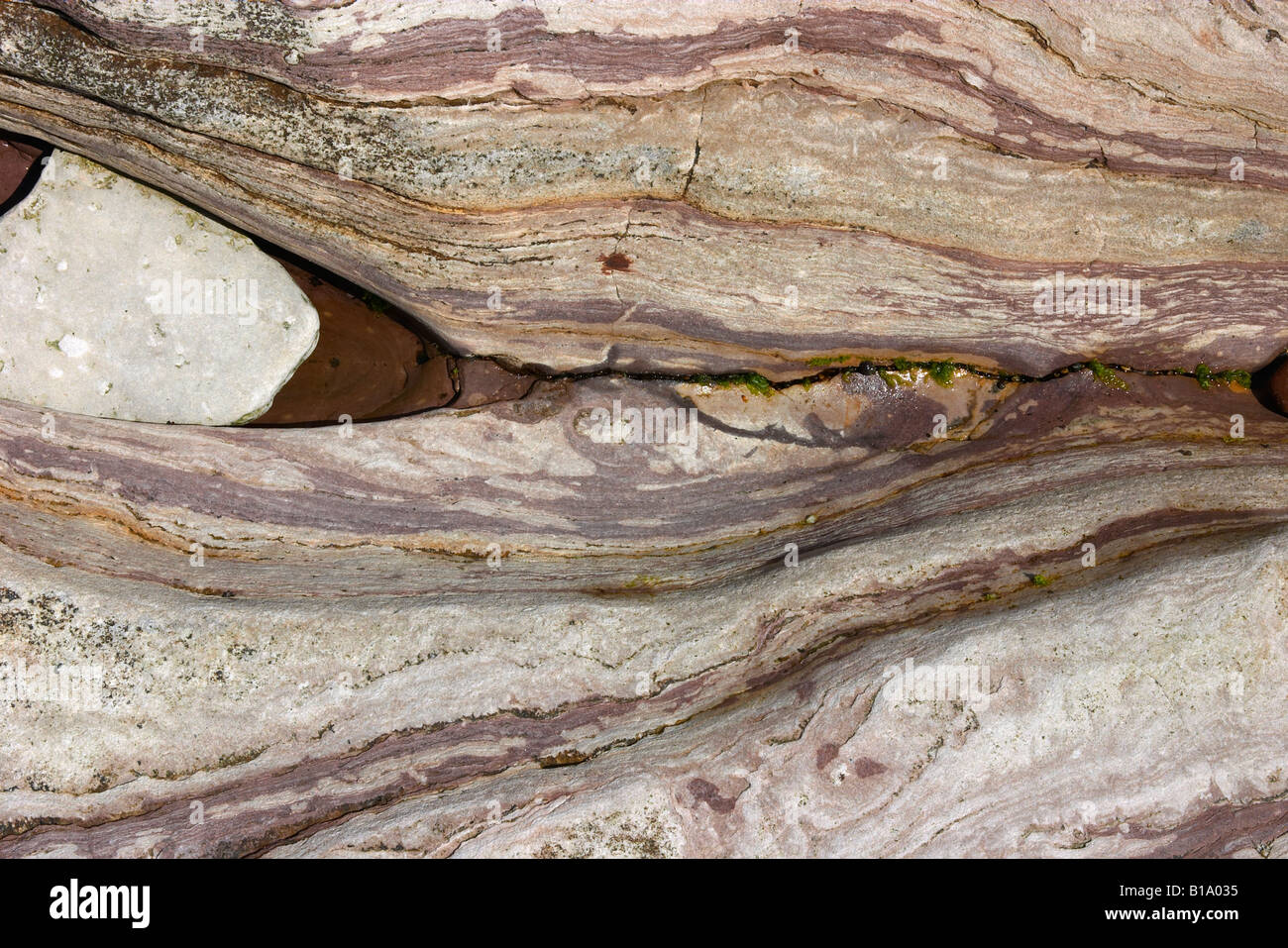 Close up of a multi colour rock pattern with white pebble Stock Photo ...