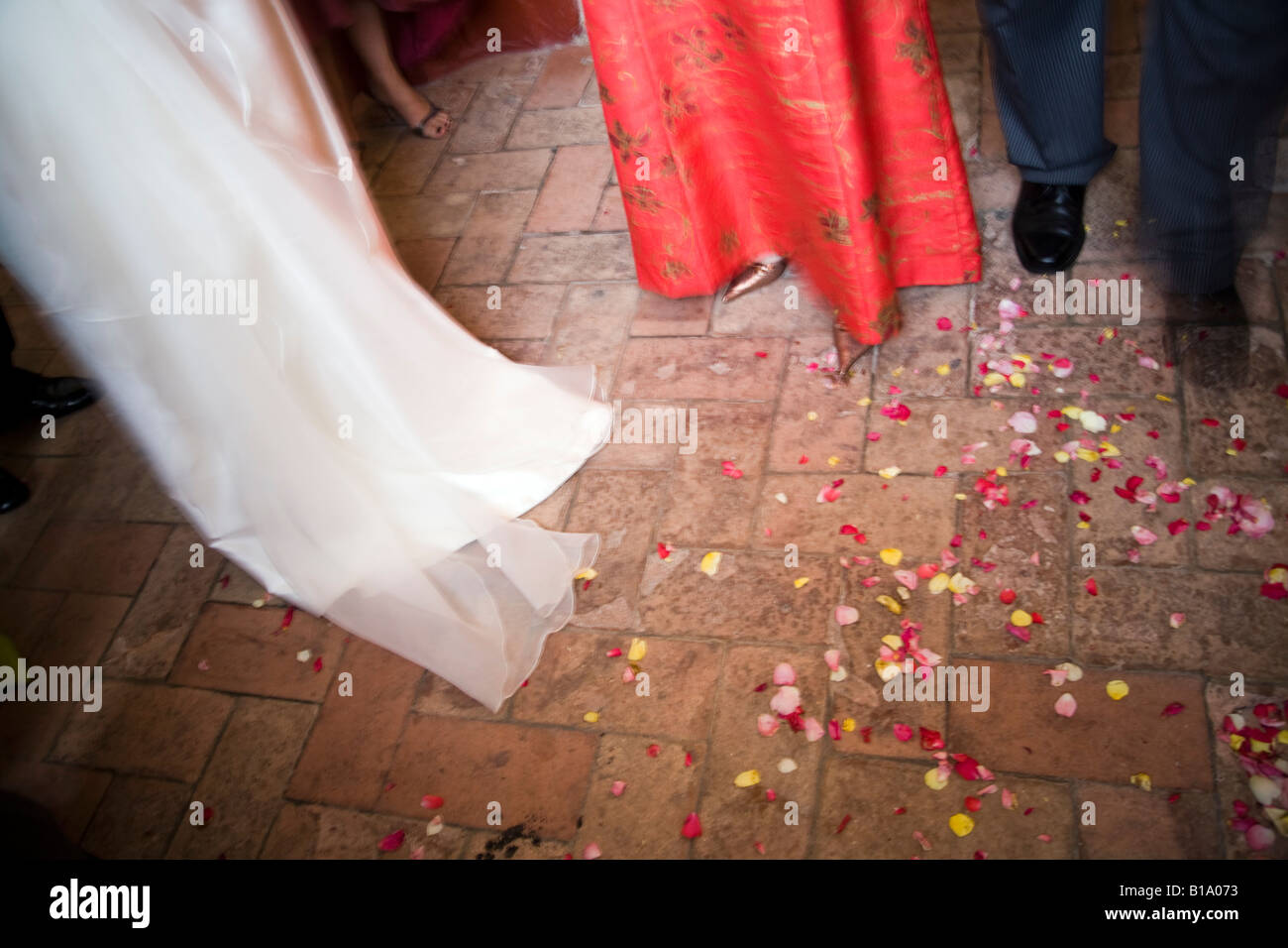 Petals and bridal dress Stock Photo - Alamy