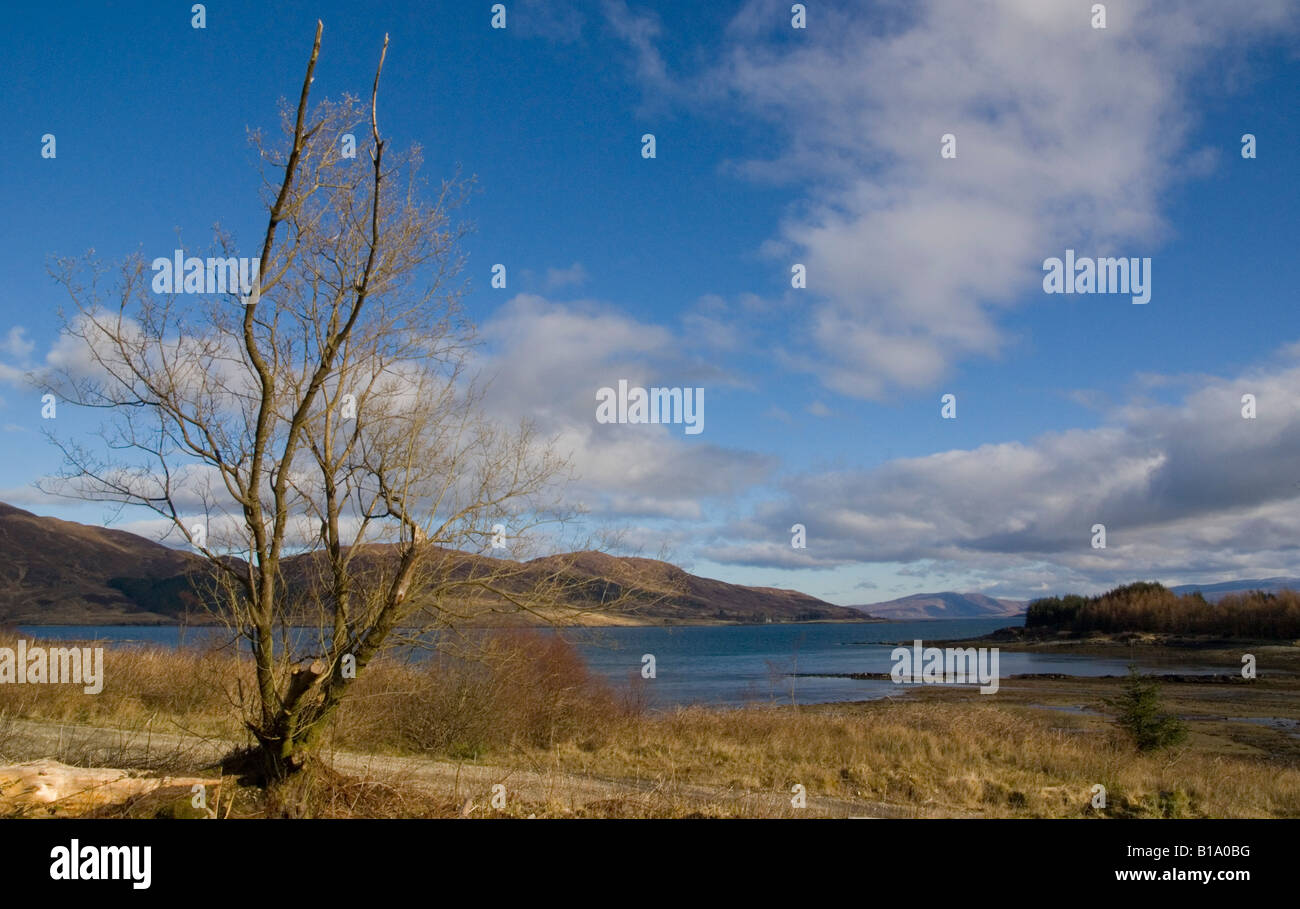 Clear felling hi-res stock photography and images - Alamy