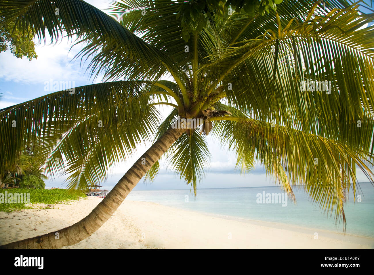 Sipadan Island, Sabah, Malaysian Borneo, Malaysia, Southeast Asia Stock ...