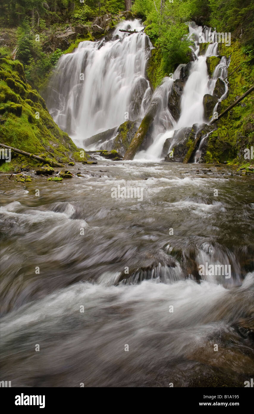 National Creek Falls Rogue River National Forest Oregon Stock Photo - Alamy