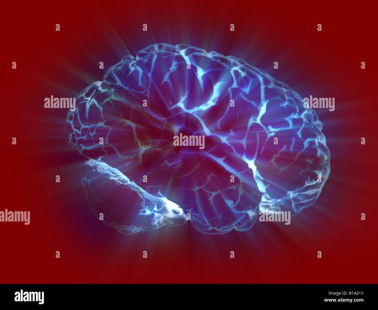 Illuminate brain hi-res stock photography and images - Alamy