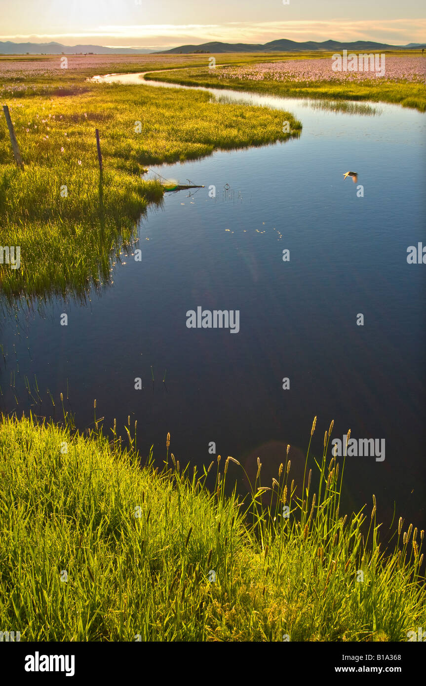 Idaho Camas Prairie The Camas Prairie is a beautiful spot to see ...