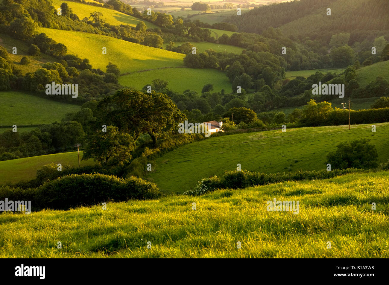Typical devon landscape hi-res stock photography and images - Alamy