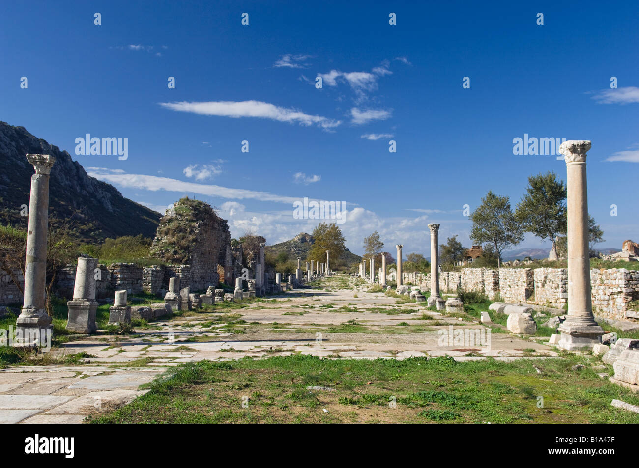 Arcadian Street or Harbour Street. Ancient City of Ephesus Stock Photo ...