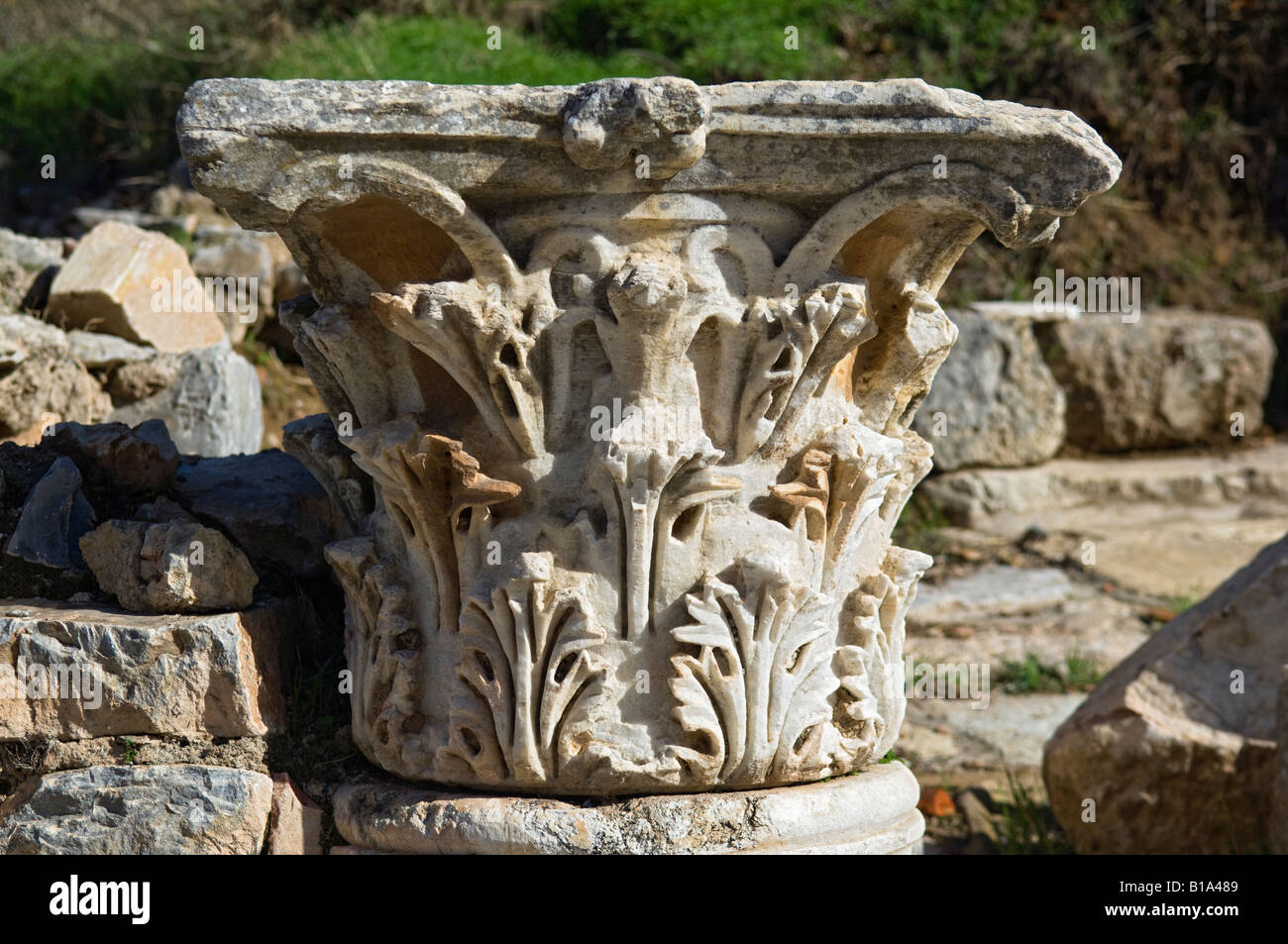Corinthian capital hi-res stock photography and images - Alamy