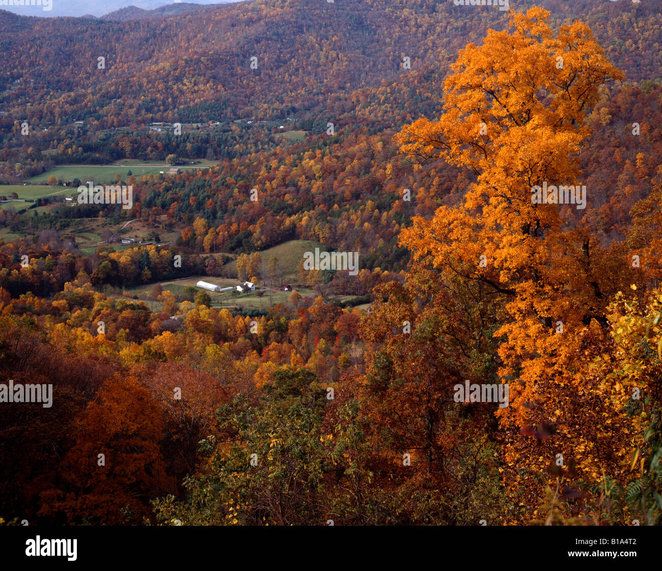Valley in Autumn Stock Photo - Alamy