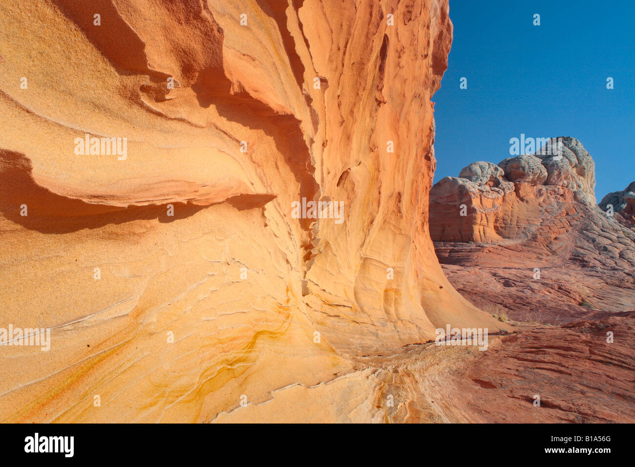 Sandstone wall at "White Pocket" in Vermilion Cliffs National Monument ...