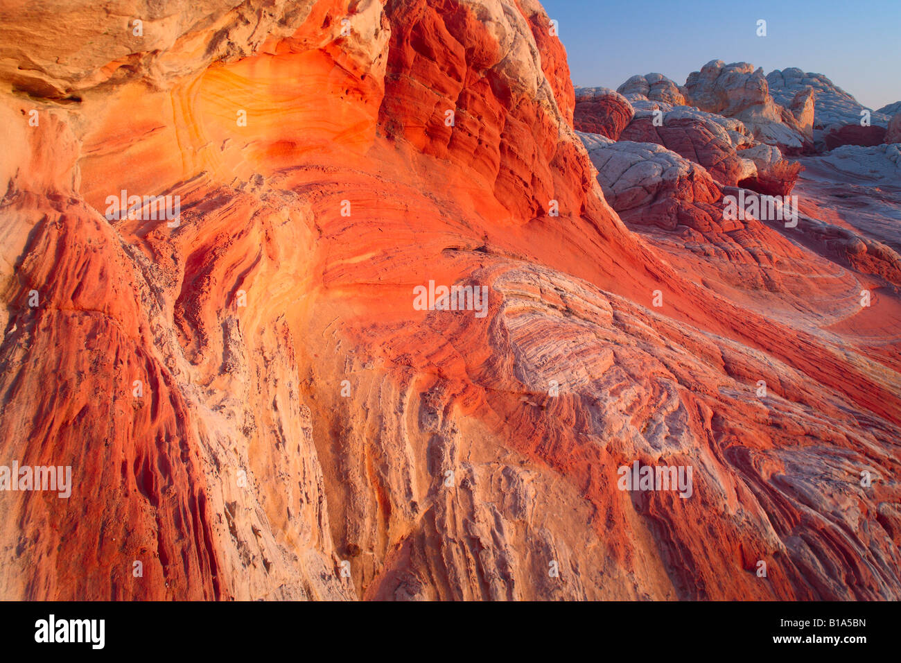 Sandstone swirls at "White Pocket" in Vermilion Cliffs National ...