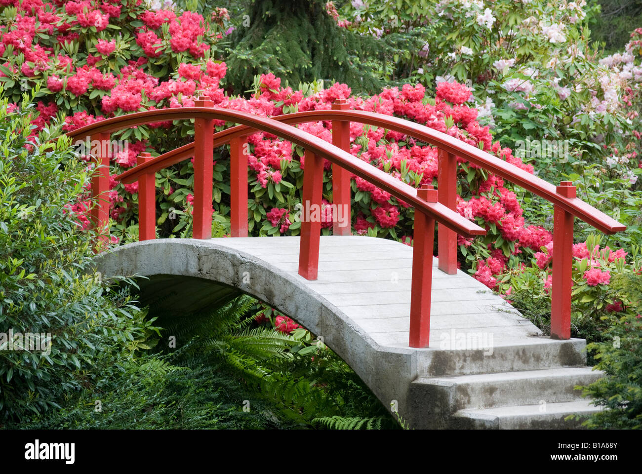 The moon bridge in Seattle's Kubota Garden Stock Photo - Alamy