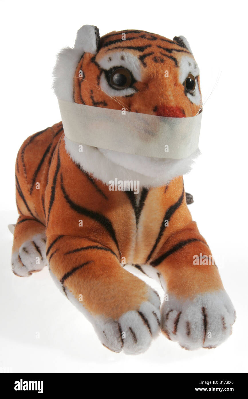 Tiger poaching Cut Out Stock Images & Pictures - Alamy