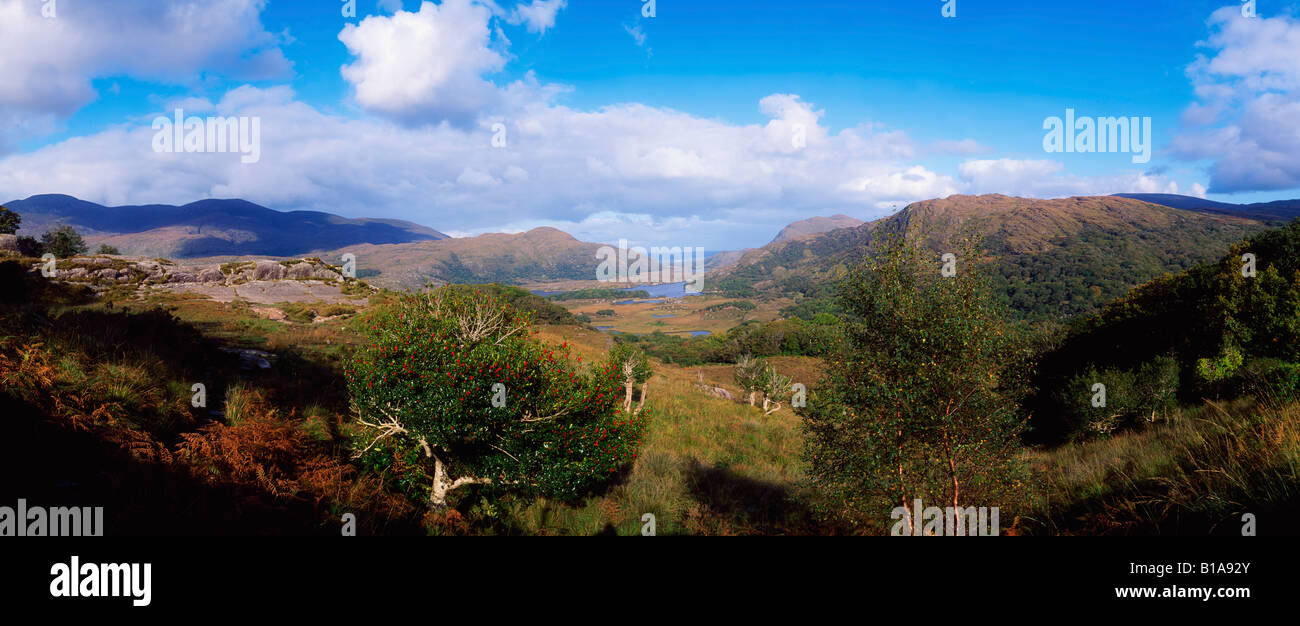 Ladies View, Killarney National Park, Ring of Kerry, County Kerry ...