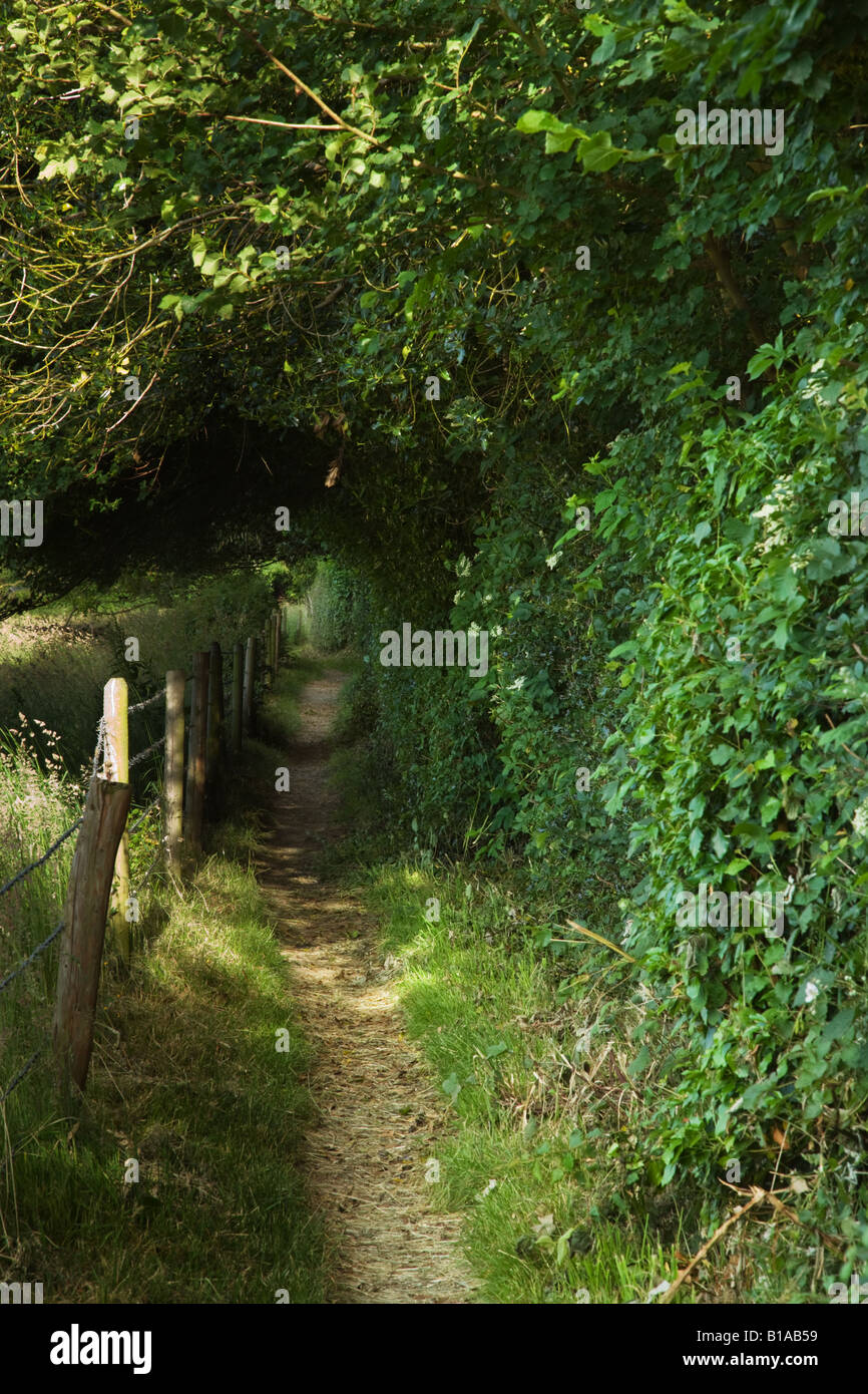 A UK rural country footpath in the Chilterns Buckinghamshire UK; the ...
