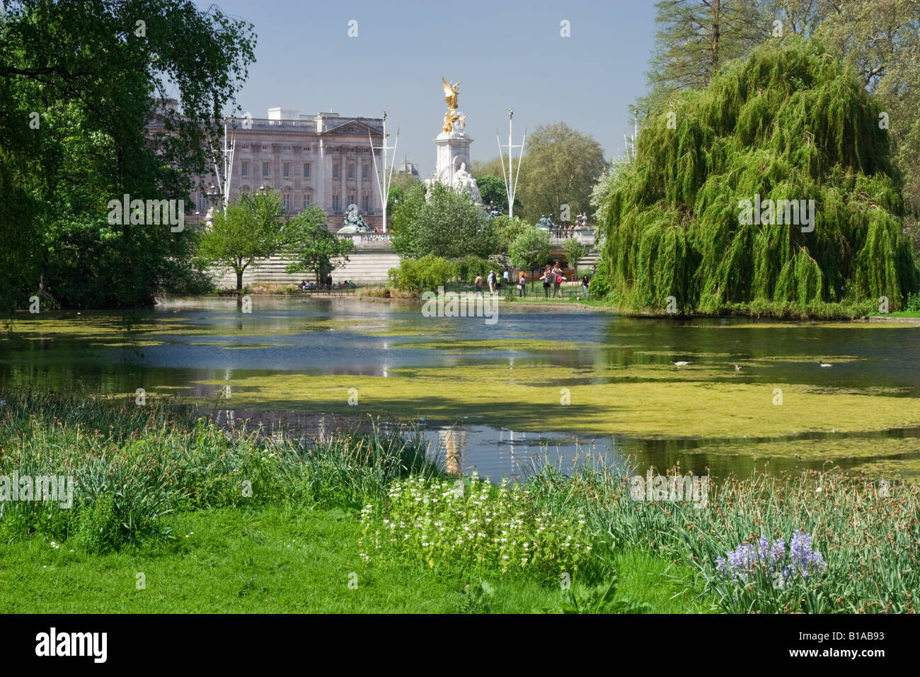 Buckingham palace green park hi-res stock photography and images - Alamy