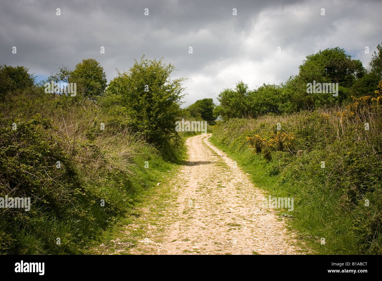 English country lane hi-res stock photography and images - Alamy