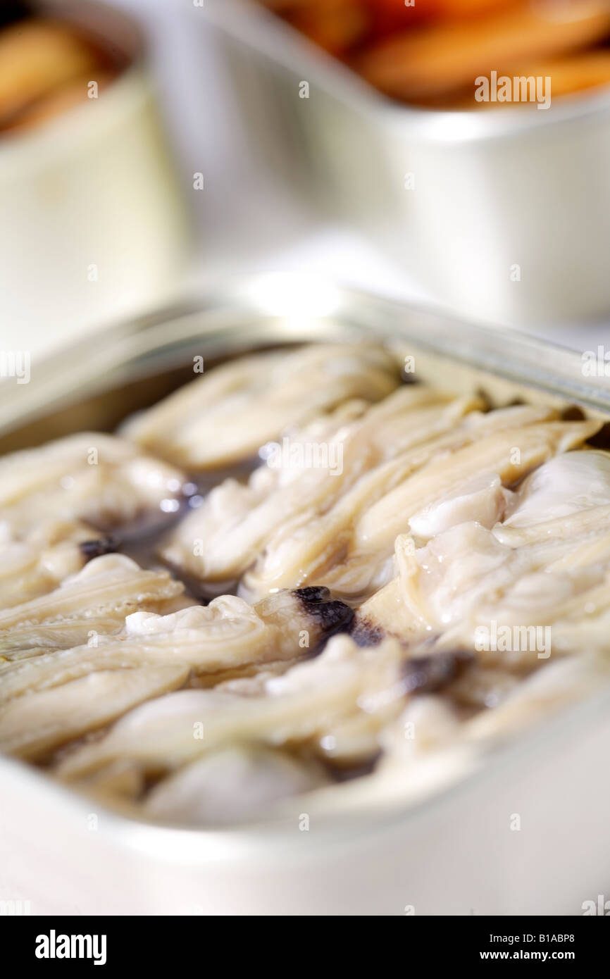 Close-up of canned clams (vertical Stock Photo - Alamy