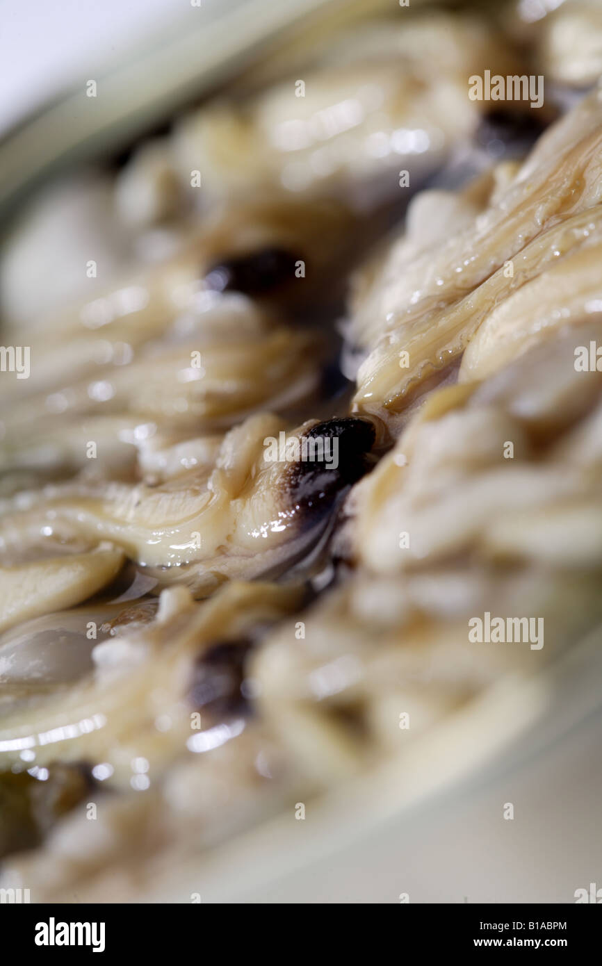 Close-up of canned clams (vertical Stock Photo - Alamy