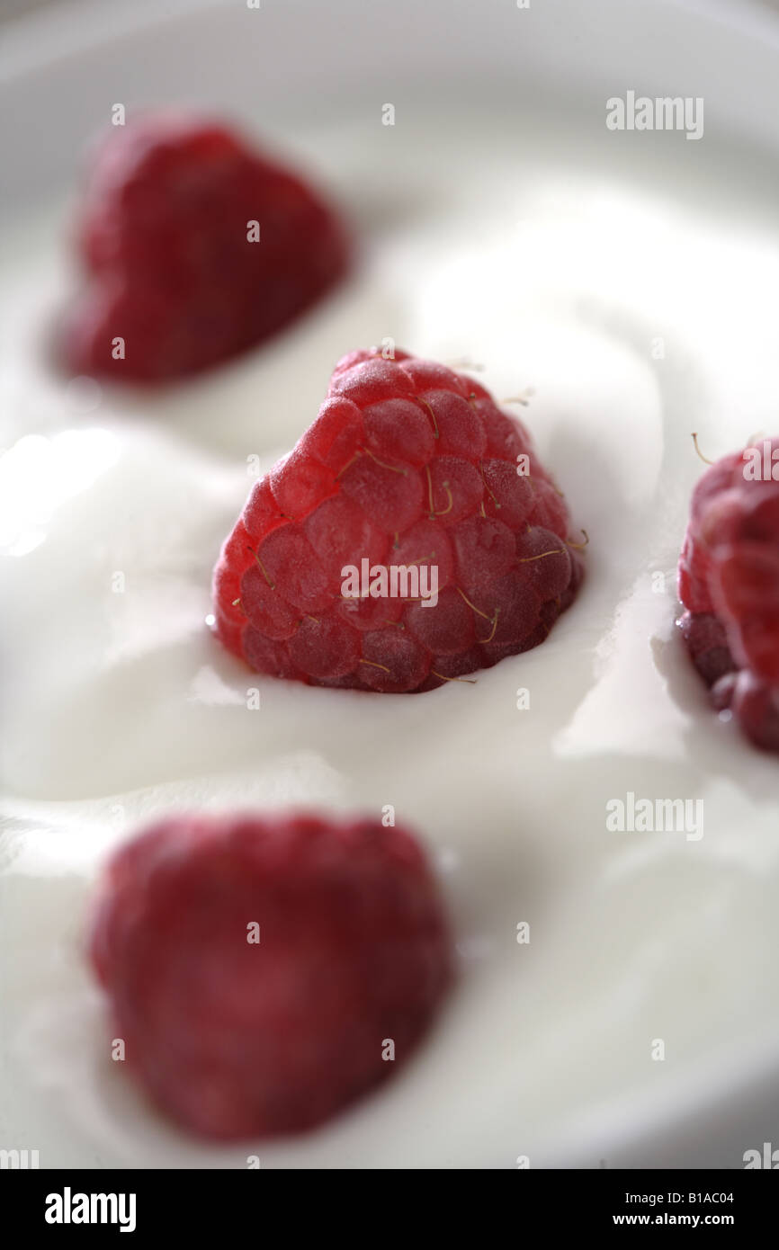 Close-up of bowl with natural yoghurt and raspberries (vertical Stock ...