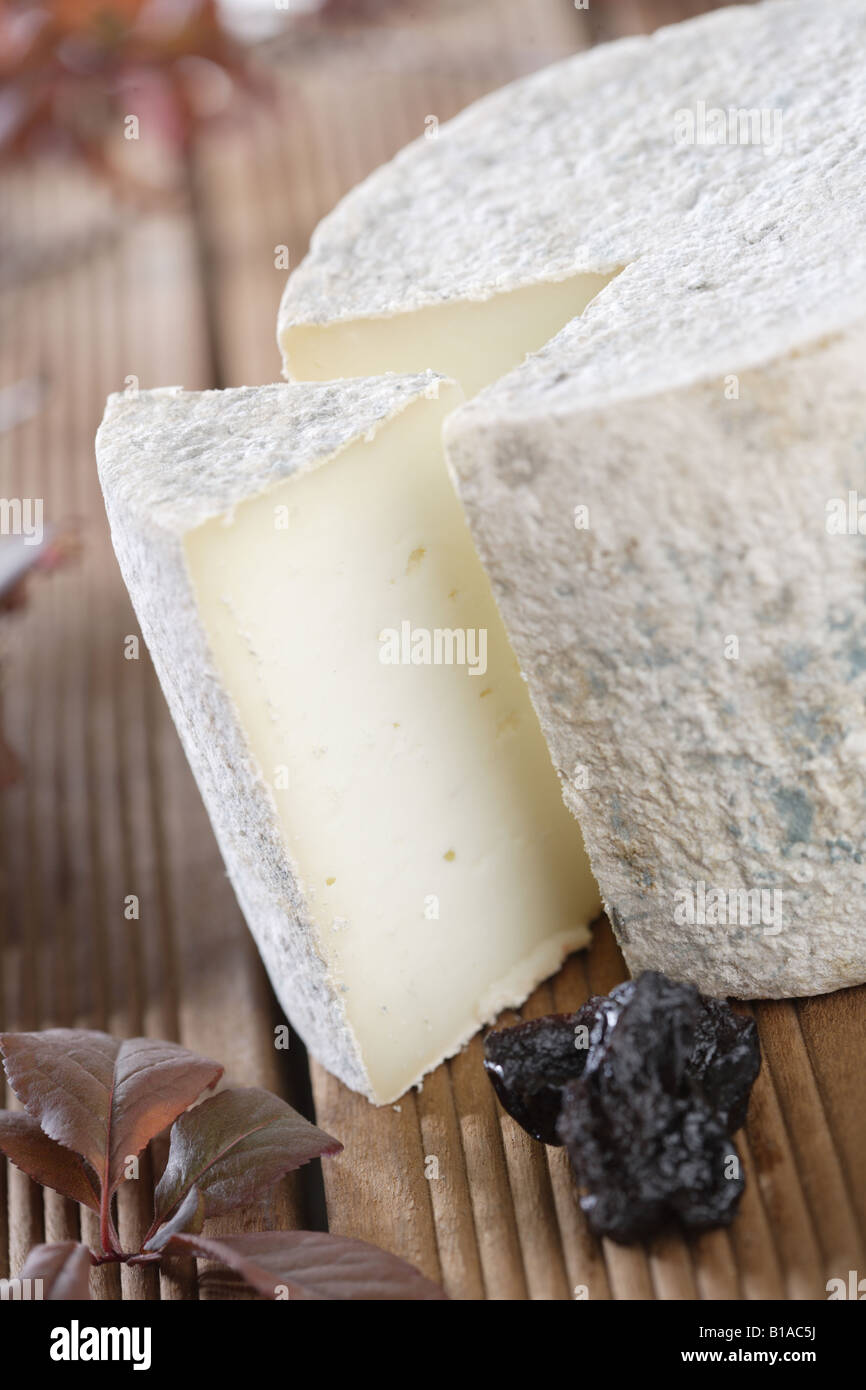 Close-up of goat cheese (vertical Stock Photo - Alamy