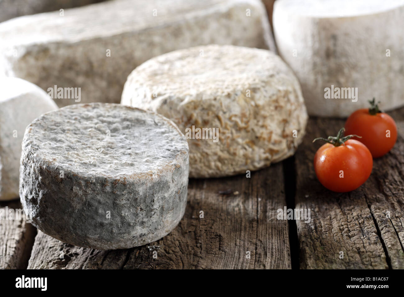 Close-up of goat cheese still life Stock Photo - Alamy