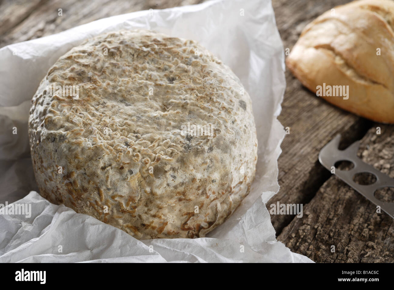 Raw milk goat cheese Stock Photo - Alamy