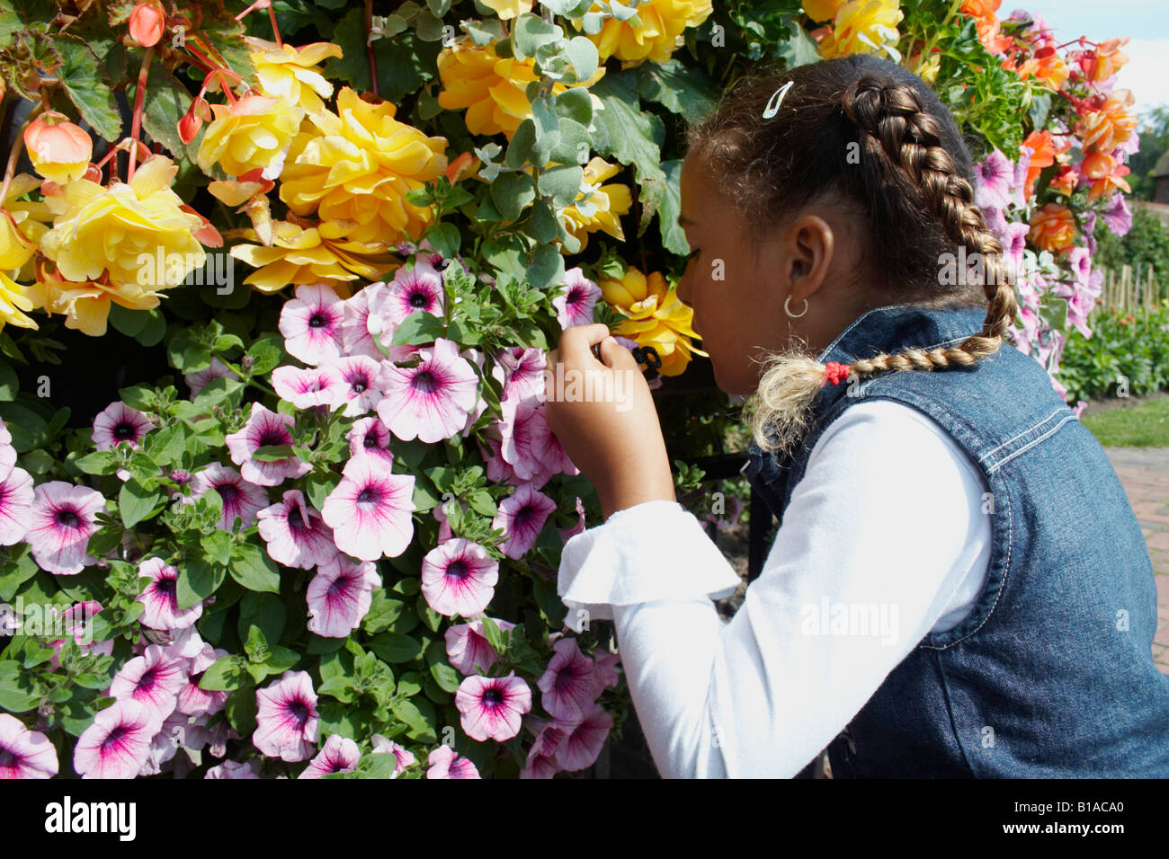Mixed Race Child Smelling Flowers, Grange Gardens, Lewes, Sussex ...