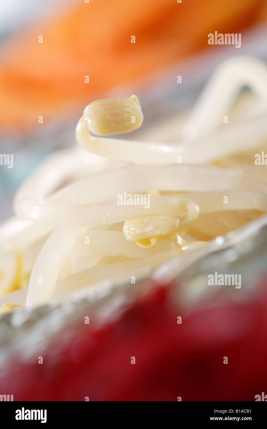 Close-up of soya sprouts (vertical Stock Photo - Alamy