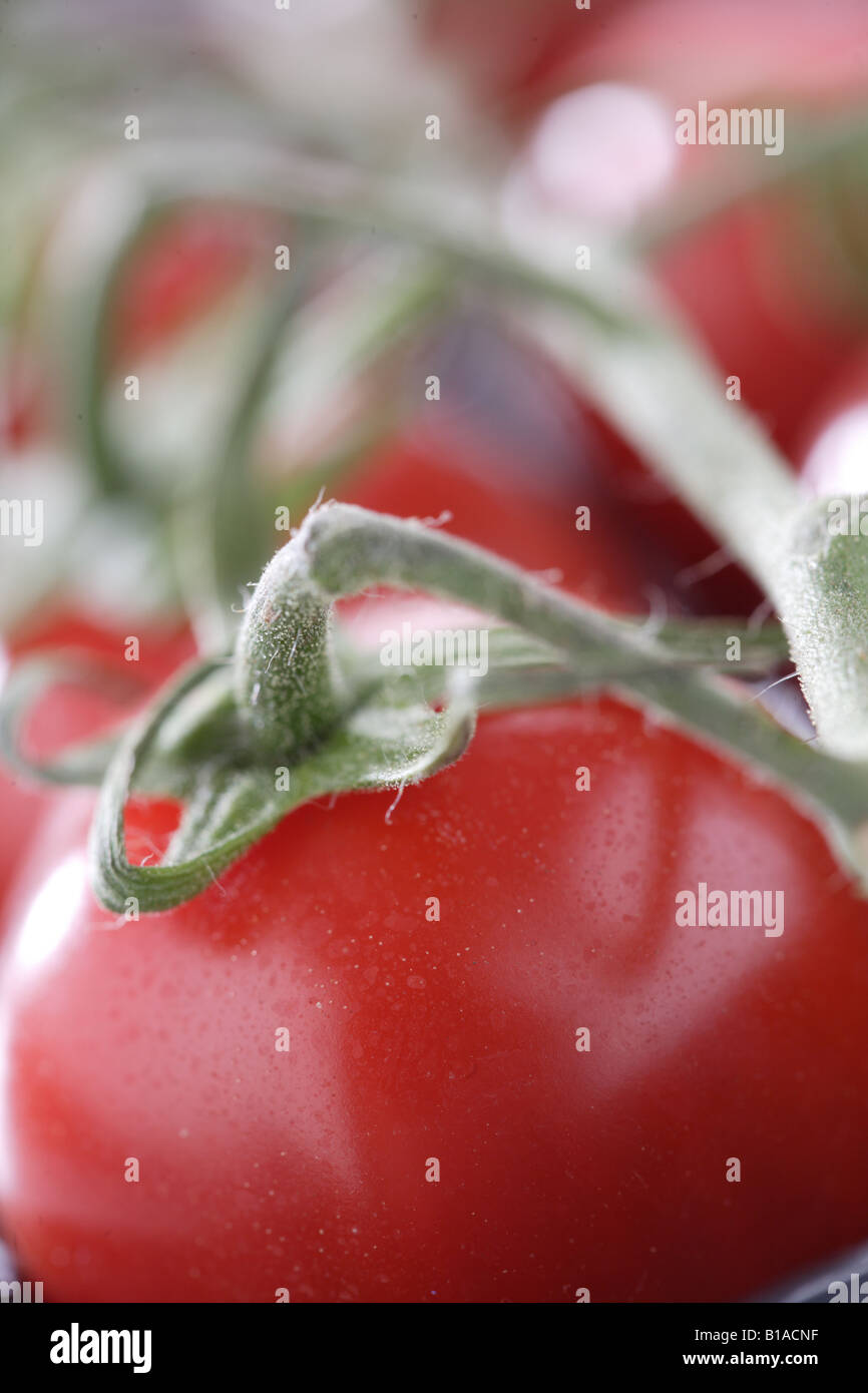 Close up of tomatoes background hi-res stock photography and images - Alamy