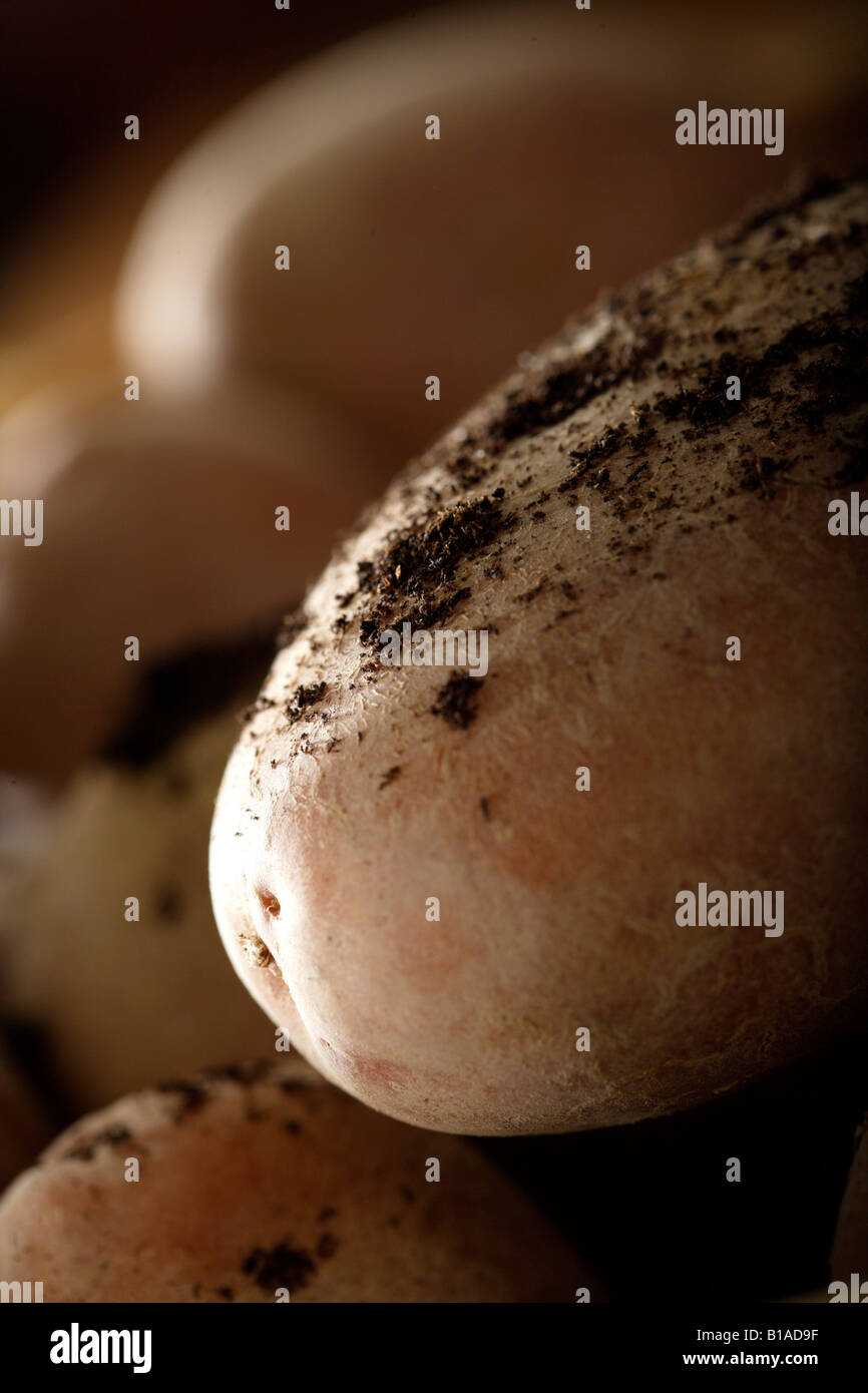 Close-up of a potato (vertical Stock Photo - Alamy