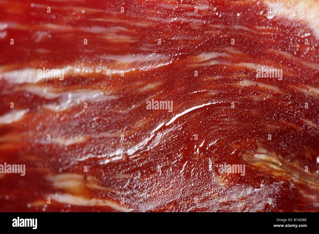 Iberian pork loin sausage texture Stock Photo - Alamy