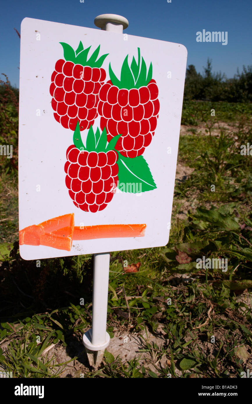 Fruit Picking, Farm Sign, Sussex, England Stock Photo - Alamy