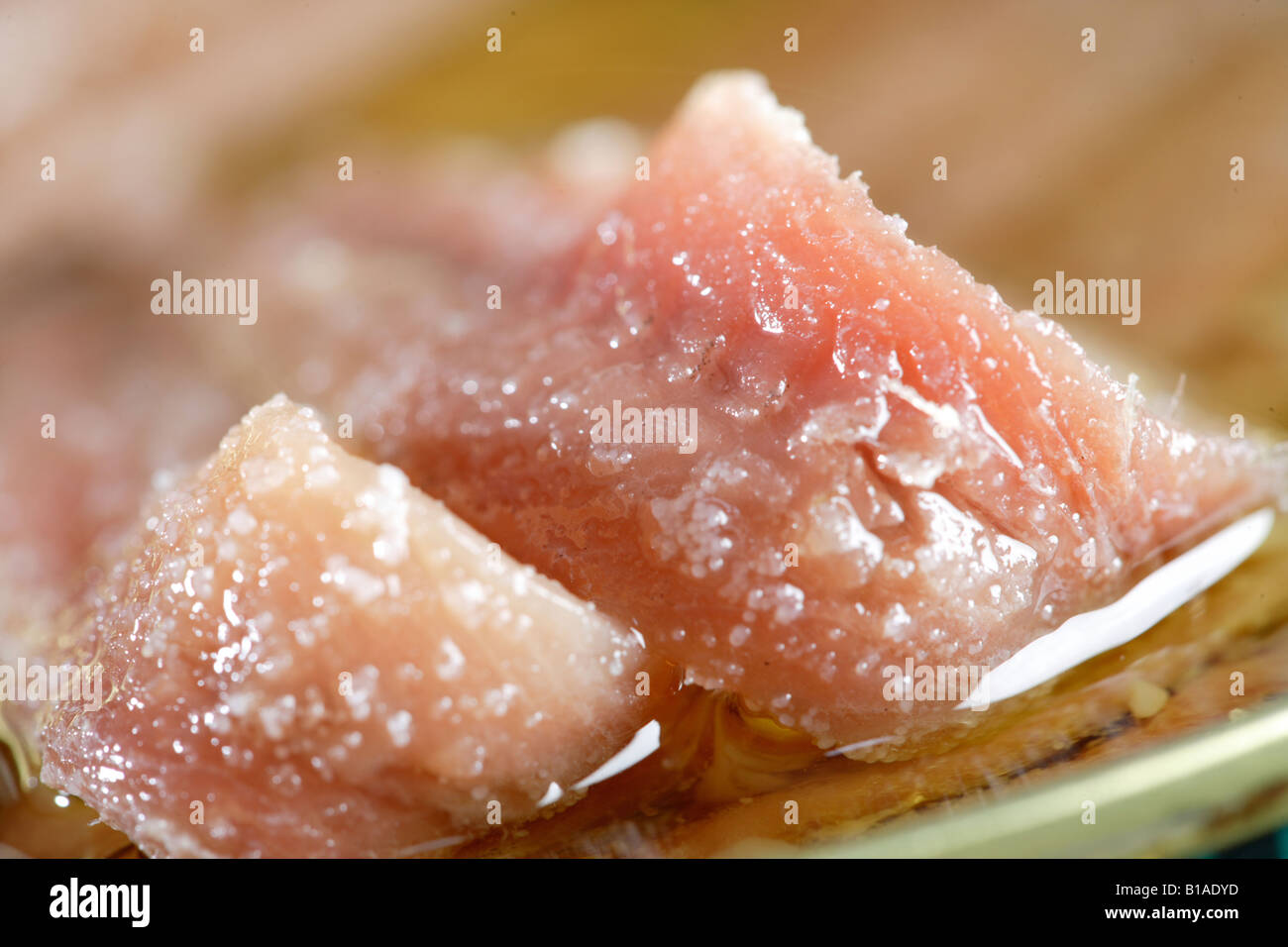 Close-up of anchovies in oil Stock Photo - Alamy
