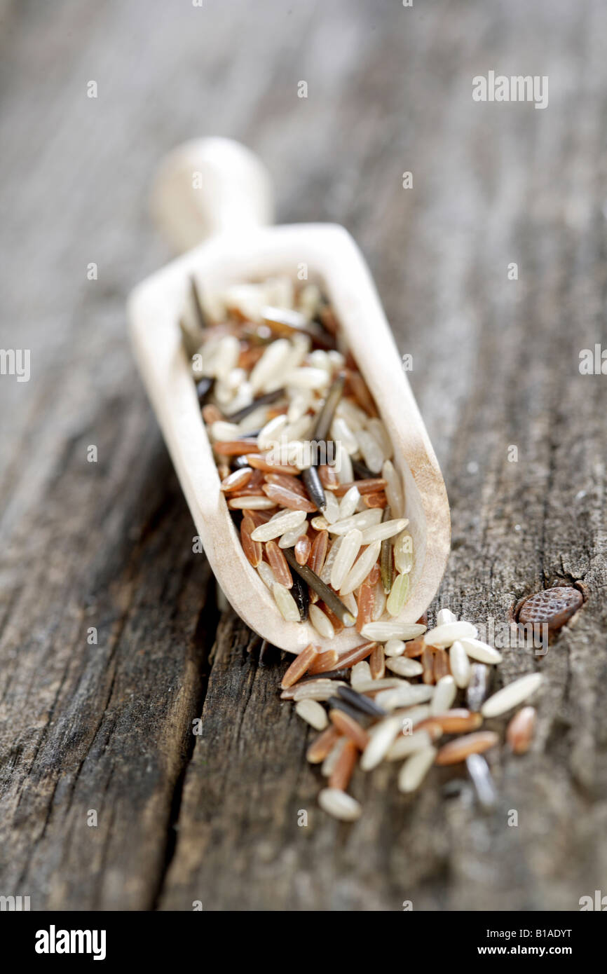 Large-grain rice varieties (vertical Stock Photo - Alamy
